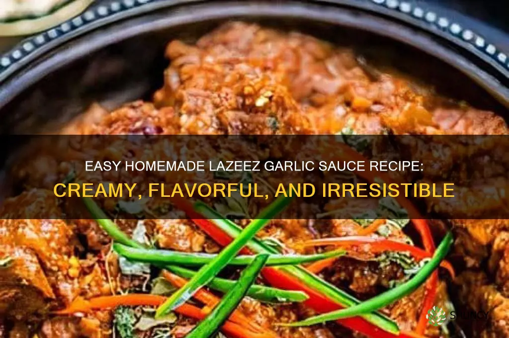 Easy Homemade Lazeez Garlic Sauce Recipe: Creamy, Flavorful, And ...