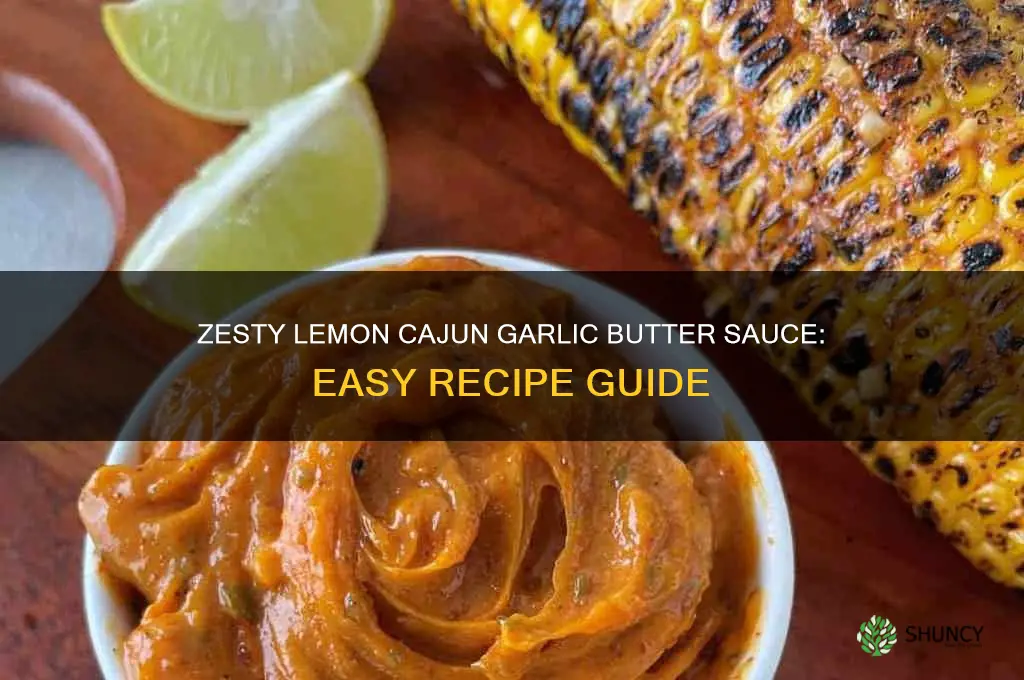 Zesty Lemon Cajun Garlic Butter Sauce: Easy Recipe Guide | ShunCy