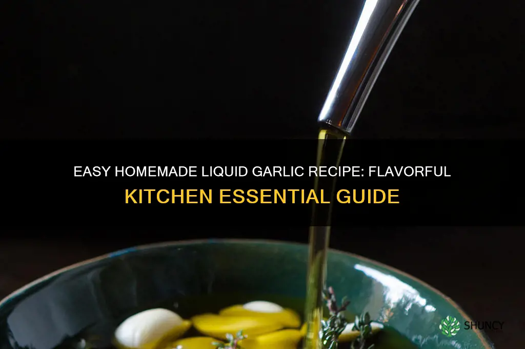Easy Homemade Liquid Garlic Recipe: Flavorful Kitchen Essential Guide ...