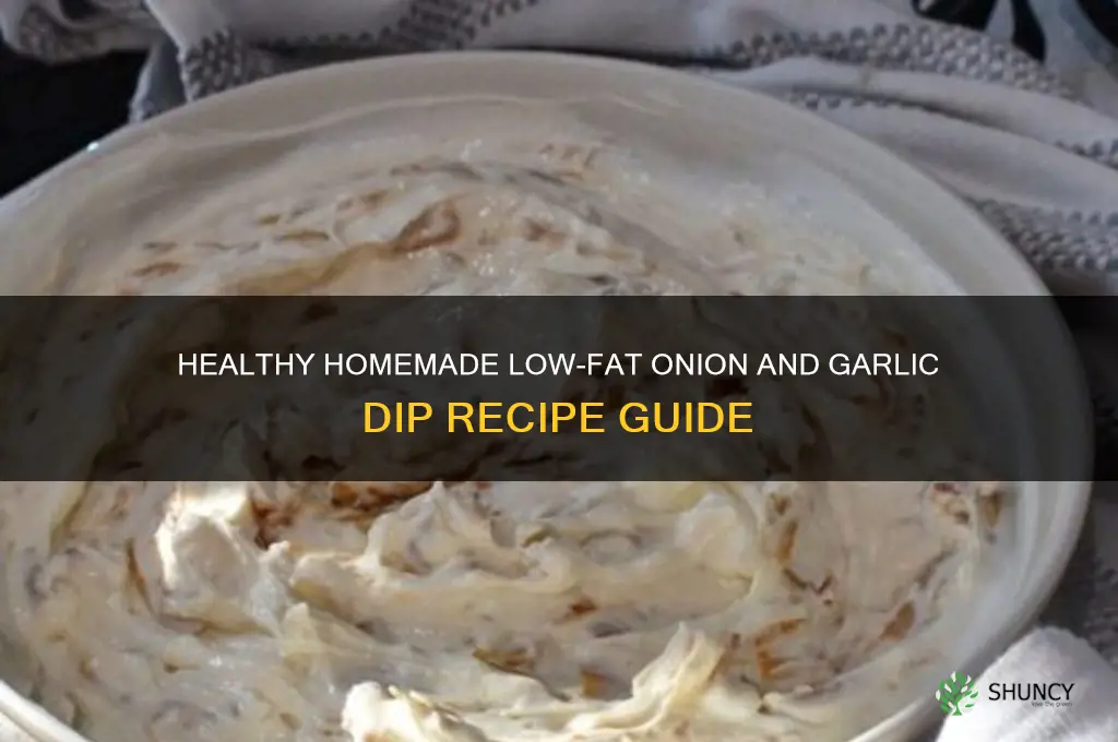 Healthy Homemade Low-Fat Onion And Garlic Dip Recipe Guide | ShunCy