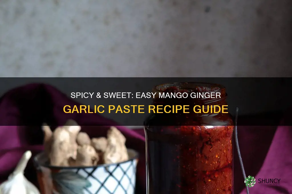 Spicy & Sweet: Easy Mango Ginger Garlic Paste Recipe Guide | ShunCy