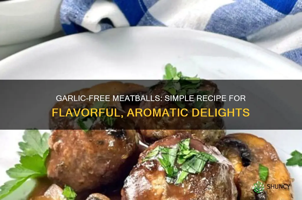 Garlic-Free Meatballs: Simple Recipe For Flavorful, Aromatic Delights ...