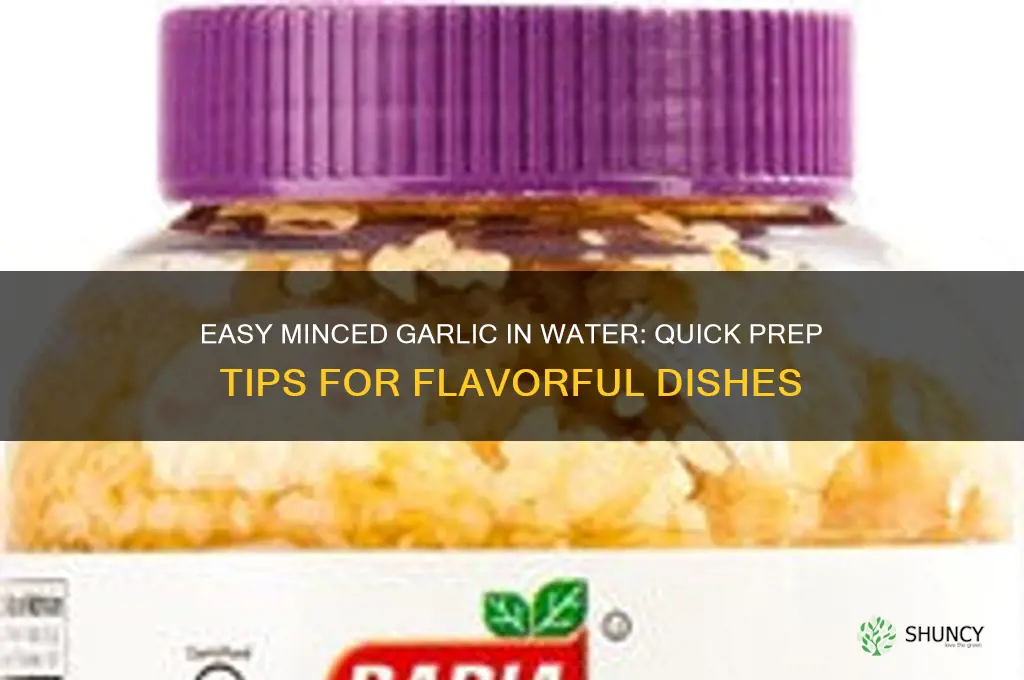 Easy Minced Garlic In Water: Quick Prep Tips For Flavorful Dishes | ShunCy
