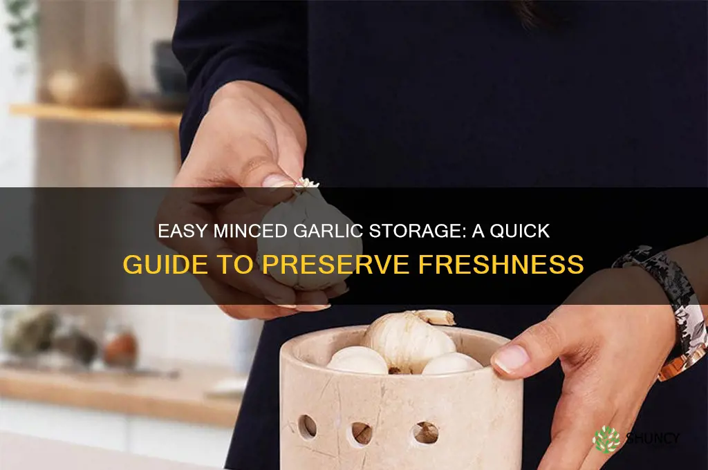 Easy Minced Garlic Storage: A Quick Guide To Preserve Freshness | ShunCy