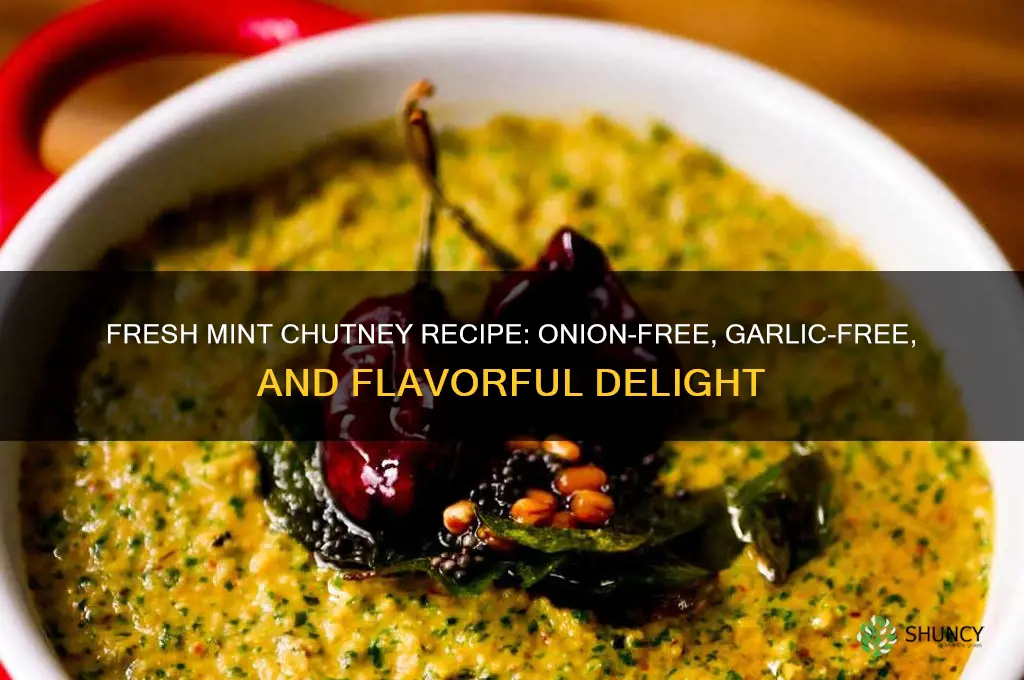 Fresh Mint Chutney Recipe: Onion-Free, Garlic-Free, And Flavorful ...