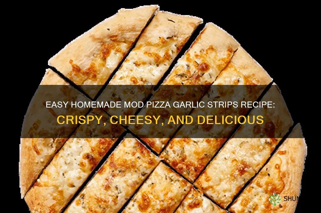 Easy Homemade Mod Pizza Garlic Strips Recipe: Crispy, Cheesy, And ...
