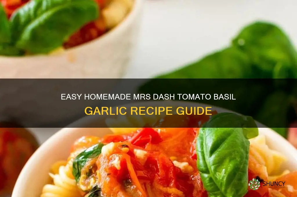 Easy Homemade Mrs Dash Tomato Basil Garlic Recipe Guide | ShunCy