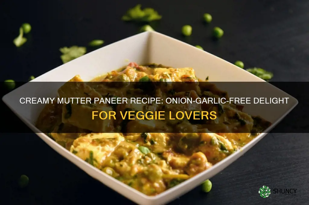 Creamy Mutter Paneer Recipe: Onion-Garlic-Free Delight For Veggie ...