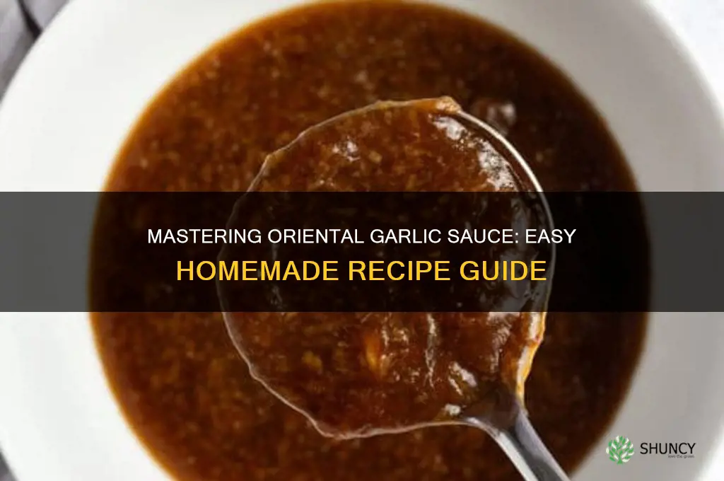 Mastering Oriental Garlic Sauce: Easy Homemade Recipe Guide | ShunCy