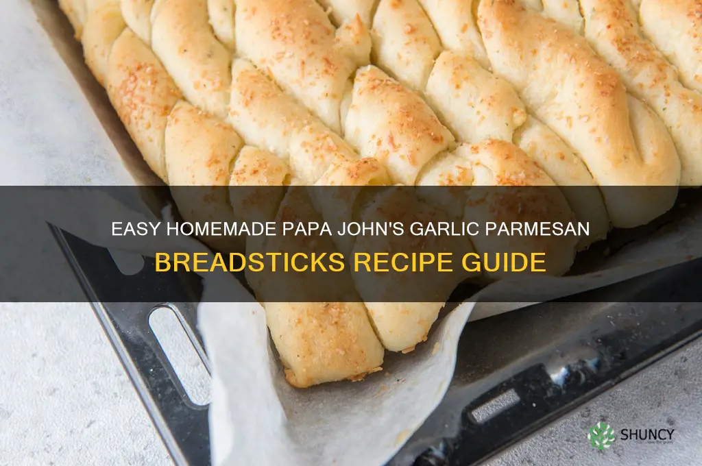 Easy Homemade Papa John's Garlic Parmesan Breadsticks Recipe Guide | ShunCy