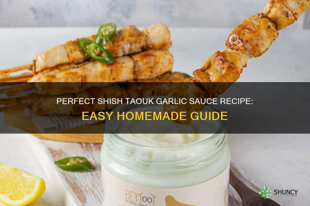 Perfect Shish Taouk Garlic Sauce Recipe: Easy Homemade Guide | ShunCy