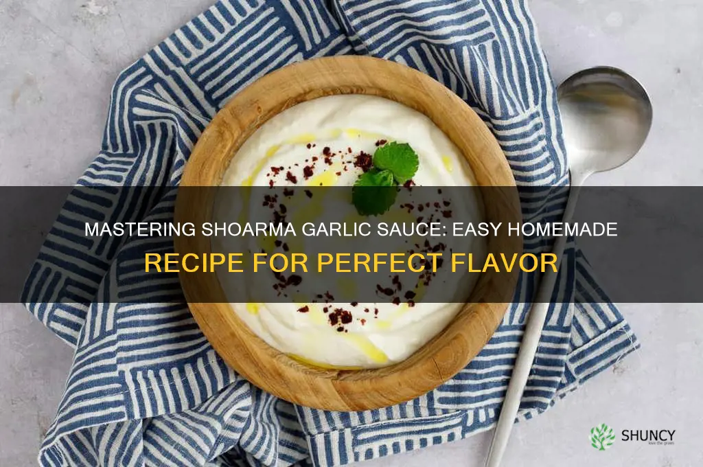 Mastering Shoarma Garlic Sauce: Easy Homemade Recipe For Perfect Flavor ...