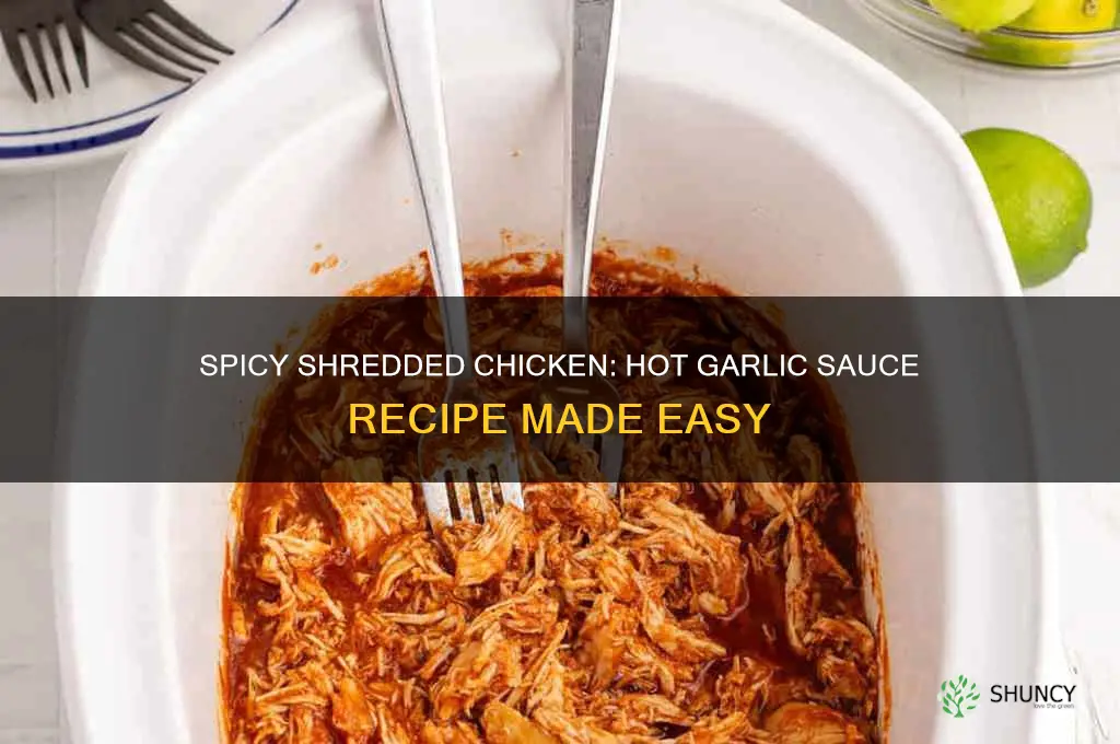Spicy Shredded Chicken: Hot Garlic Sauce Recipe Made Easy | ShunCy
