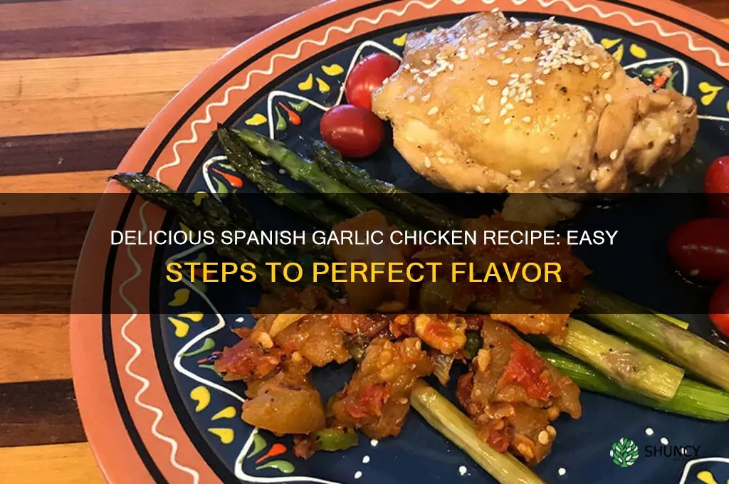 Delicious Spanish Garlic Chicken Recipe: Easy Steps To Perfect Flavor ...