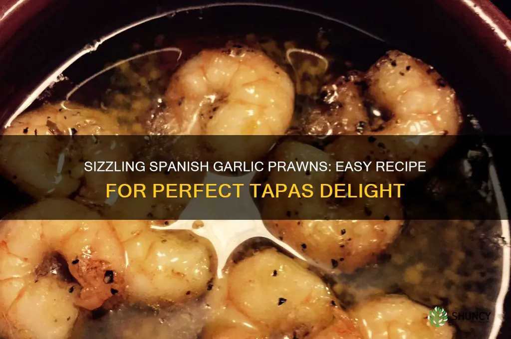 Sizzling Spanish Garlic Prawns: Easy Recipe For Perfect Tapas Delight ...