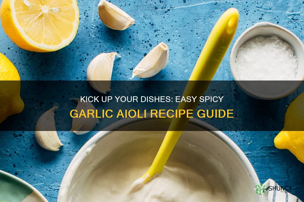 Kick Up Your Dishes: Easy Spicy Garlic Aioli Recipe Guide | ShunCy
