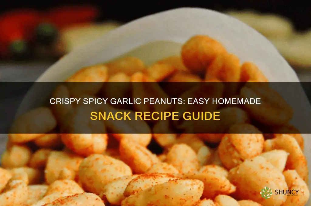 Crispy Spicy Garlic Peanuts: Easy Homemade Snack Recipe Guide | ShunCy