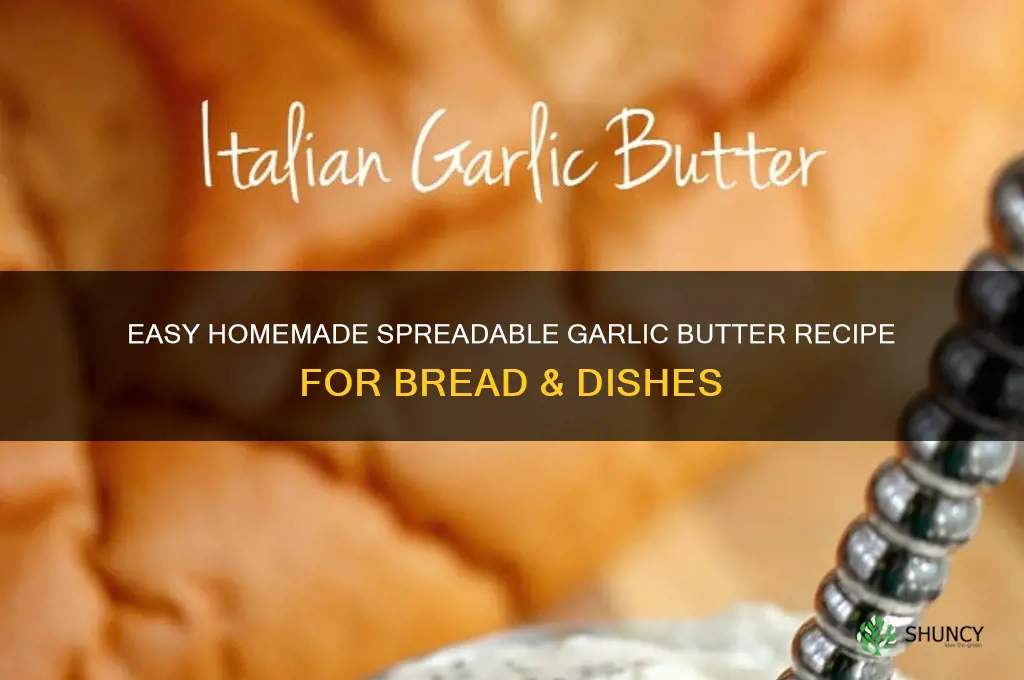Easy Homemade Spreadable Garlic Butter Recipe For Bread & Dishes | ShunCy