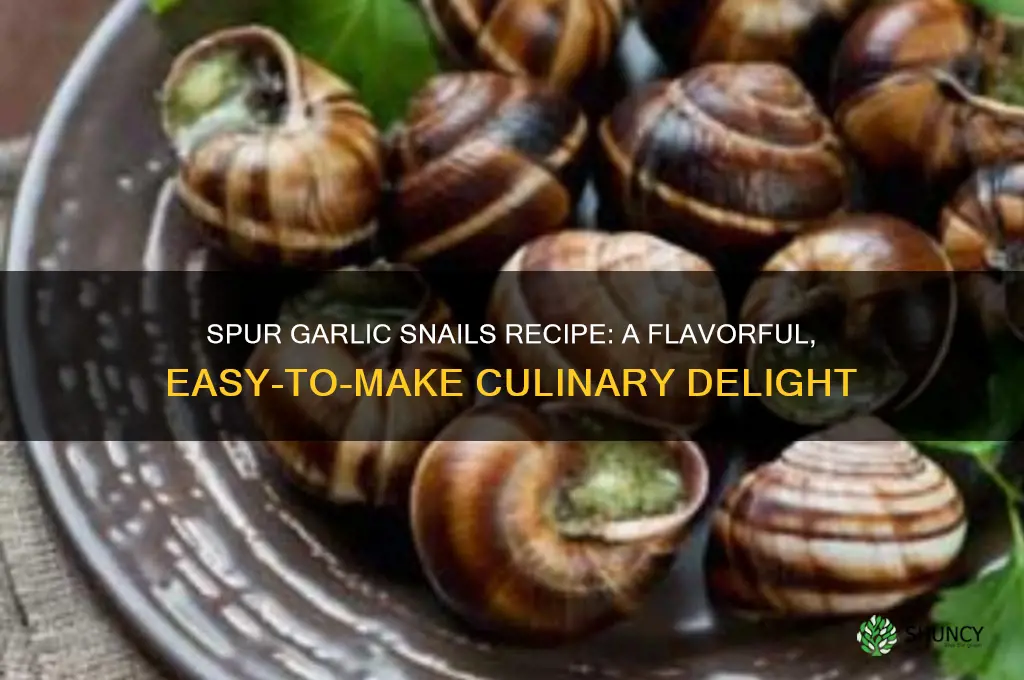 Spur Garlic Snails Recipe: A Flavorful, Easy-To-Make Culinary Delight ...
