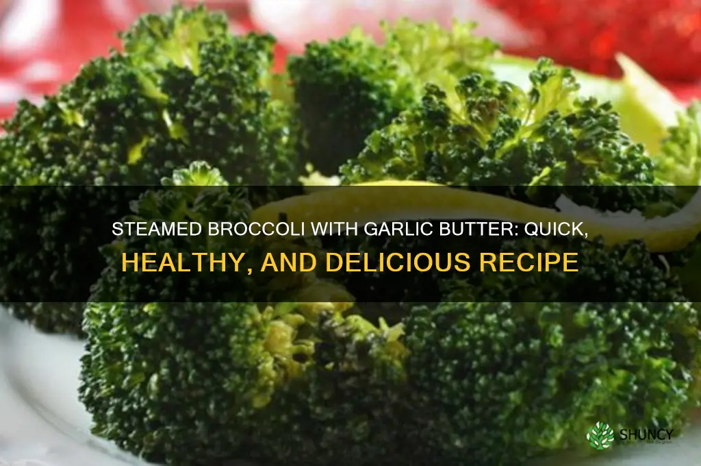 Steamed Broccoli With Garlic Butter: Quick, Healthy, And Delicious ...