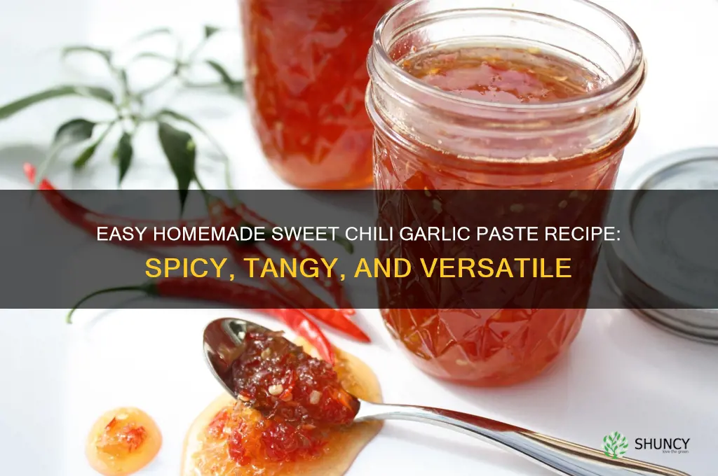 Easy Homemade Sweet Chili Garlic Paste Recipe: Spicy, Tangy, And ...