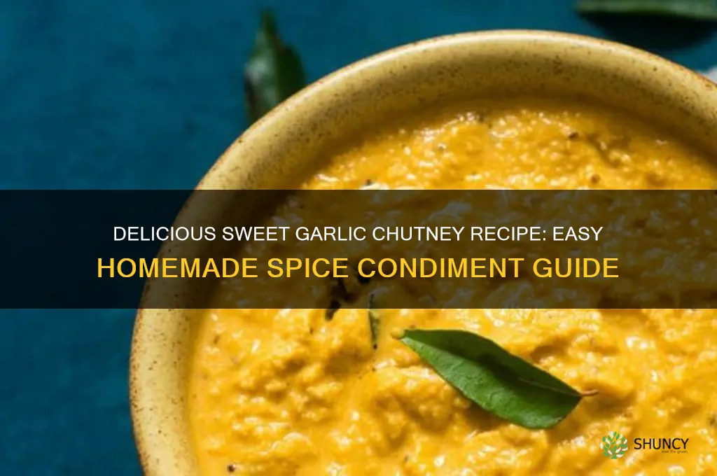 Delicious Sweet Garlic Chutney Recipe: Easy Homemade Spice Condiment ...