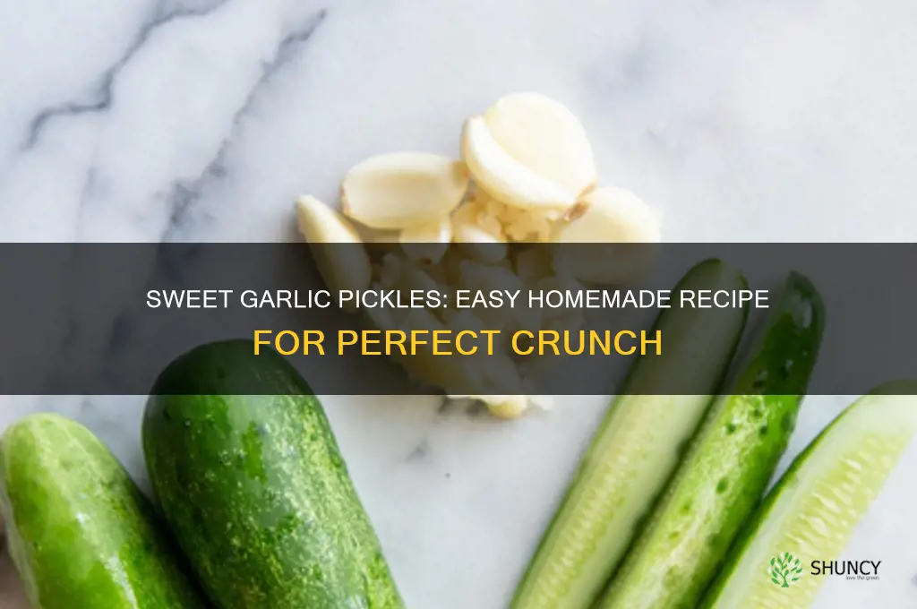 Sweet Garlic Pickles: Easy Homemade Recipe For Perfect Crunch | ShunCy