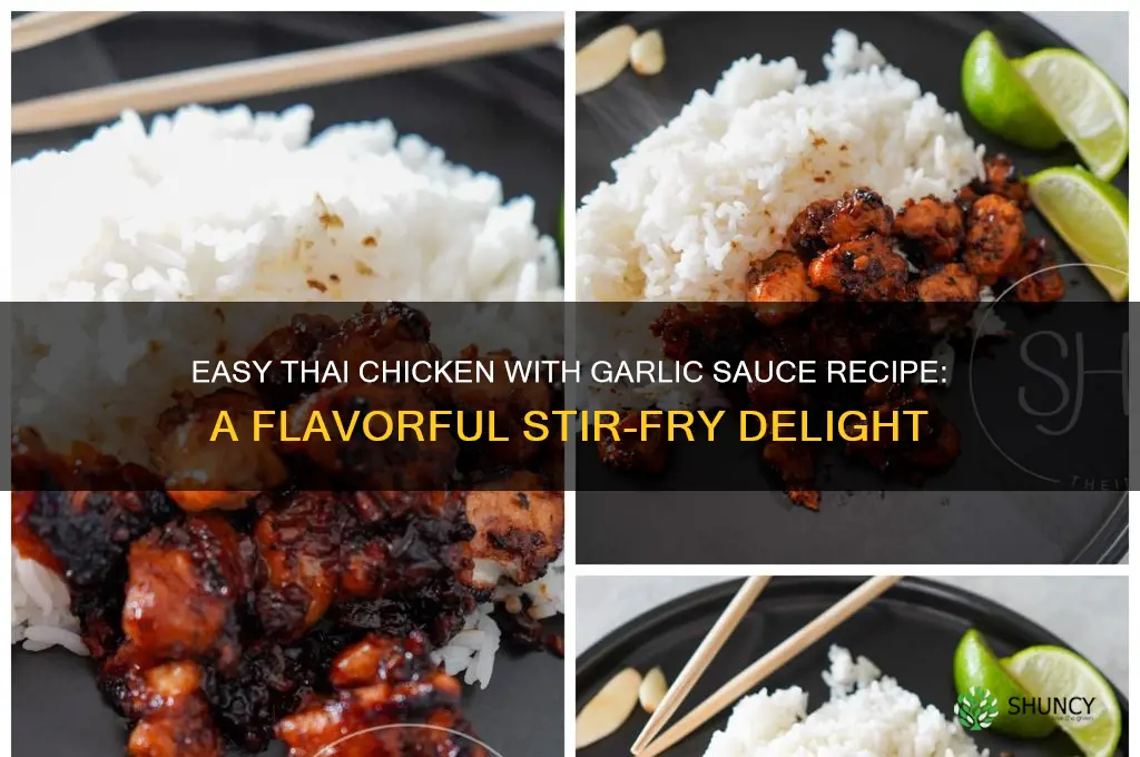 Easy Thai Chicken With Garlic Sauce Recipe: A Flavorful Stir-Fry ...