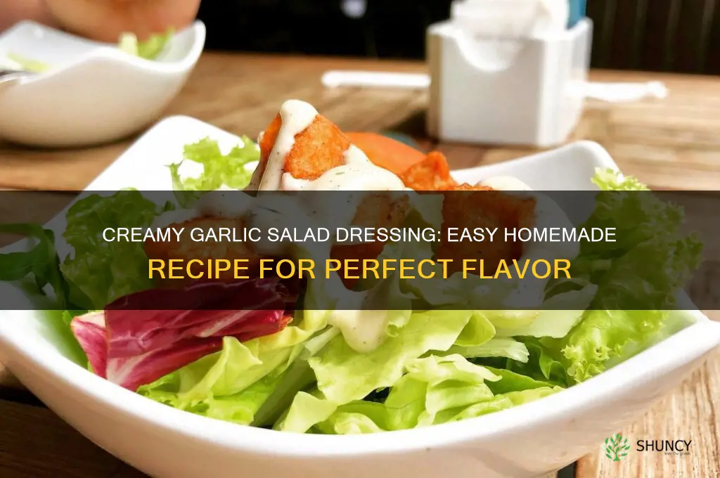 Creamy Garlic Salad Dressing: Easy Homemade Recipe For Perfect Flavor ...