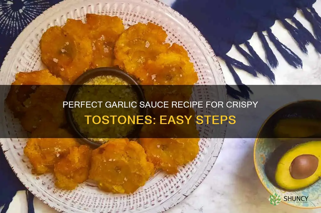 Perfect Garlic Sauce Recipe For Crispy Tostones: Easy Steps | ShunCy