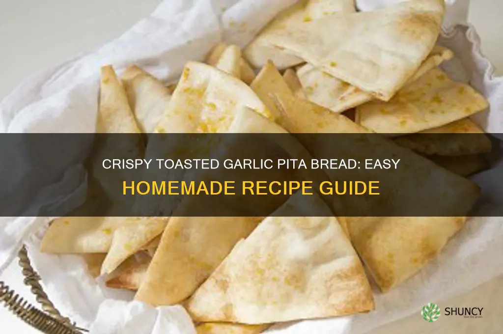 Crispy Toasted Garlic Pita Bread: Easy Homemade Recipe Guide | ShunCy