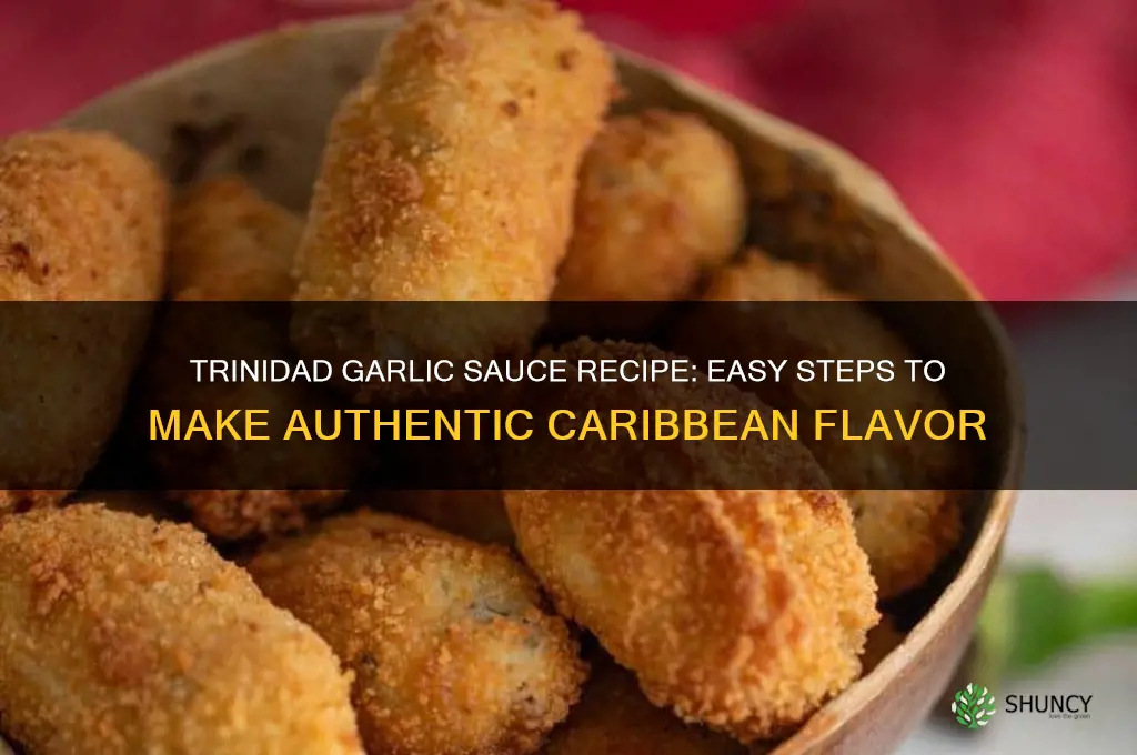 Trinidad Garlic Sauce Recipe: Easy Steps To Make Authentic Caribbean ...