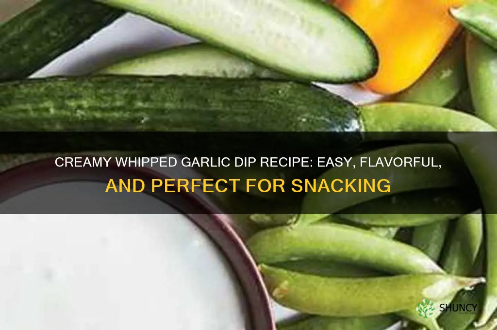 Creamy Whipped Garlic Dip Recipe: Easy, Flavorful, And Perfect For ...