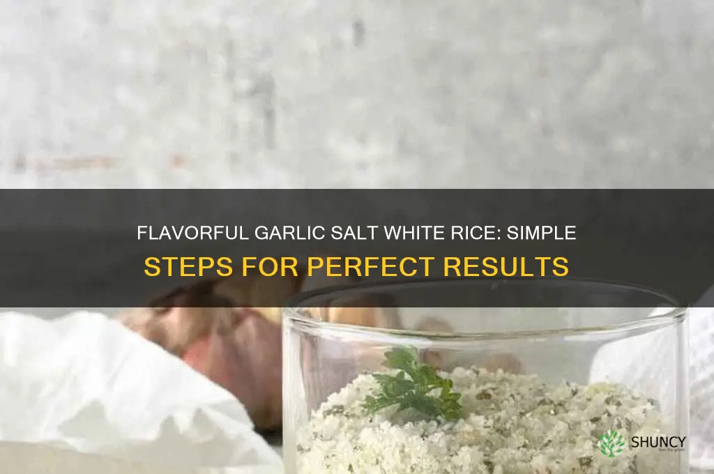 Flavorful Garlic Salt White Rice: Simple Steps For Perfect Results | ShunCy