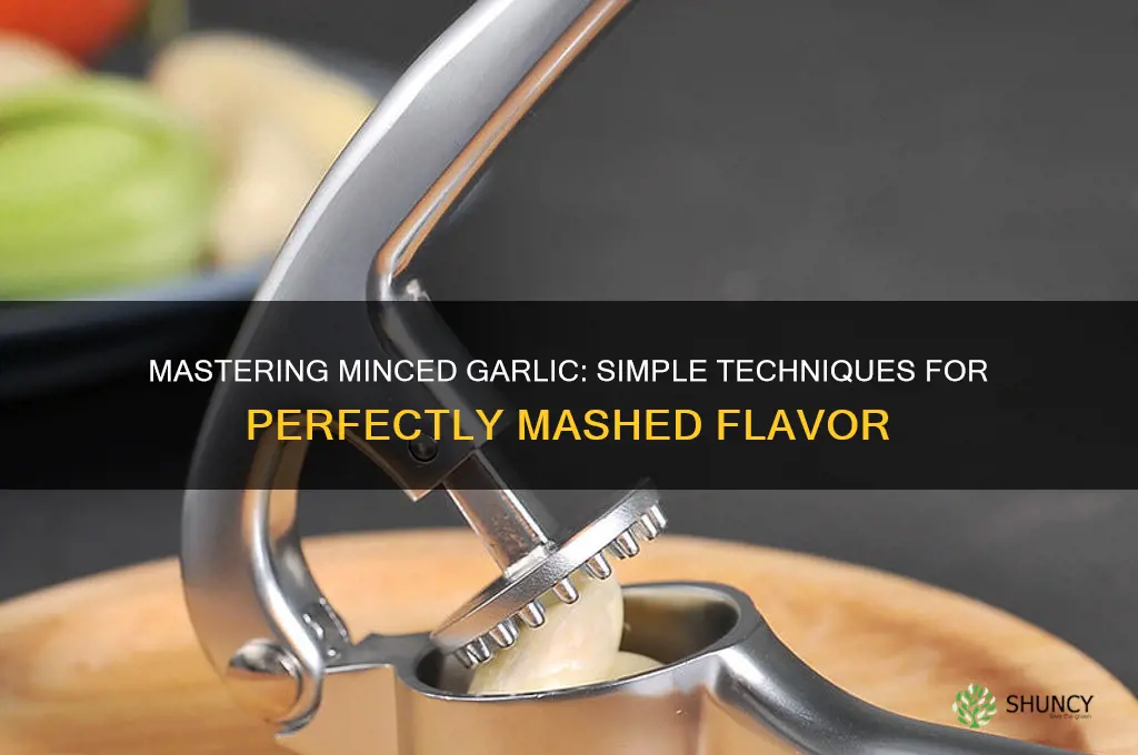 Mastering Minced Garlic: Simple Techniques For Perfectly Mashed Flavor ...