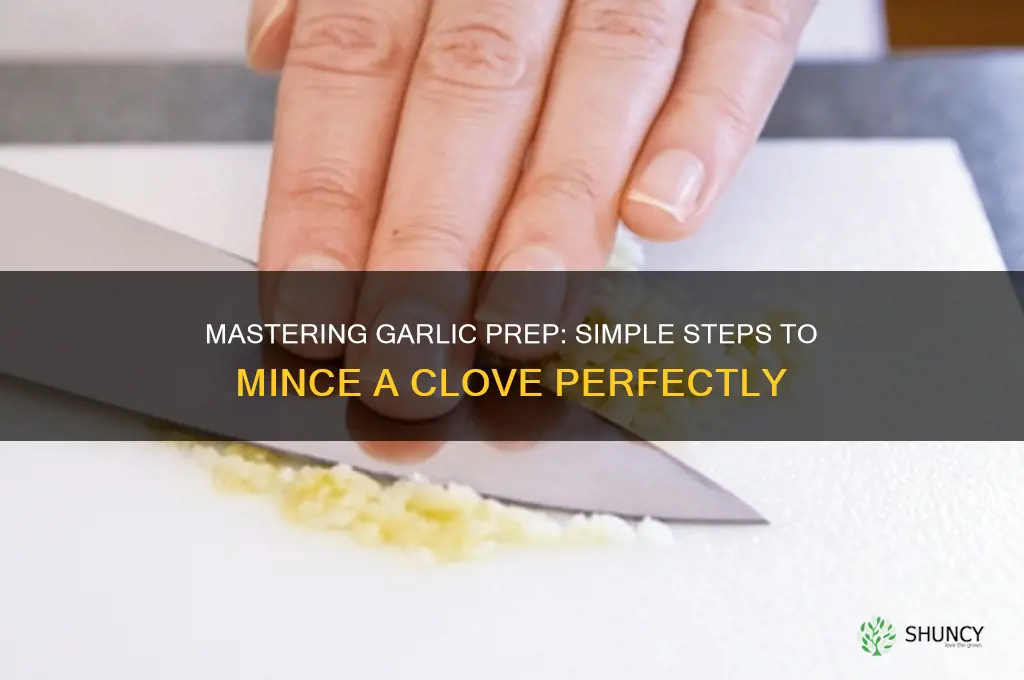 Mastering Garlic Prep: Simple Steps To Mince A Clove Perfectly | ShunCy