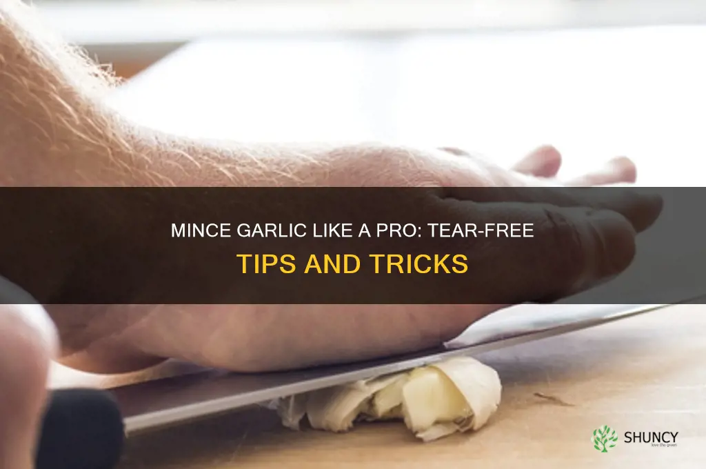 Mince Garlic Like A Pro: Tear-Free Tips And Tricks | ShunCy