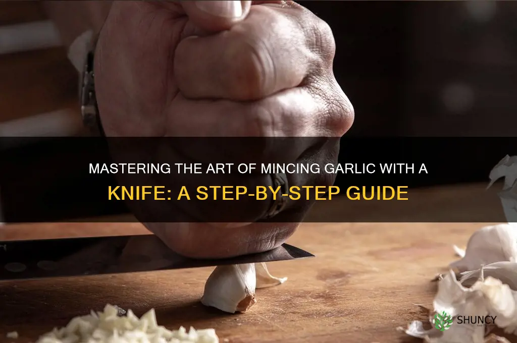 Mastering The Art Of Mincing Garlic With A Knife: A Step-By-Step Guide ...