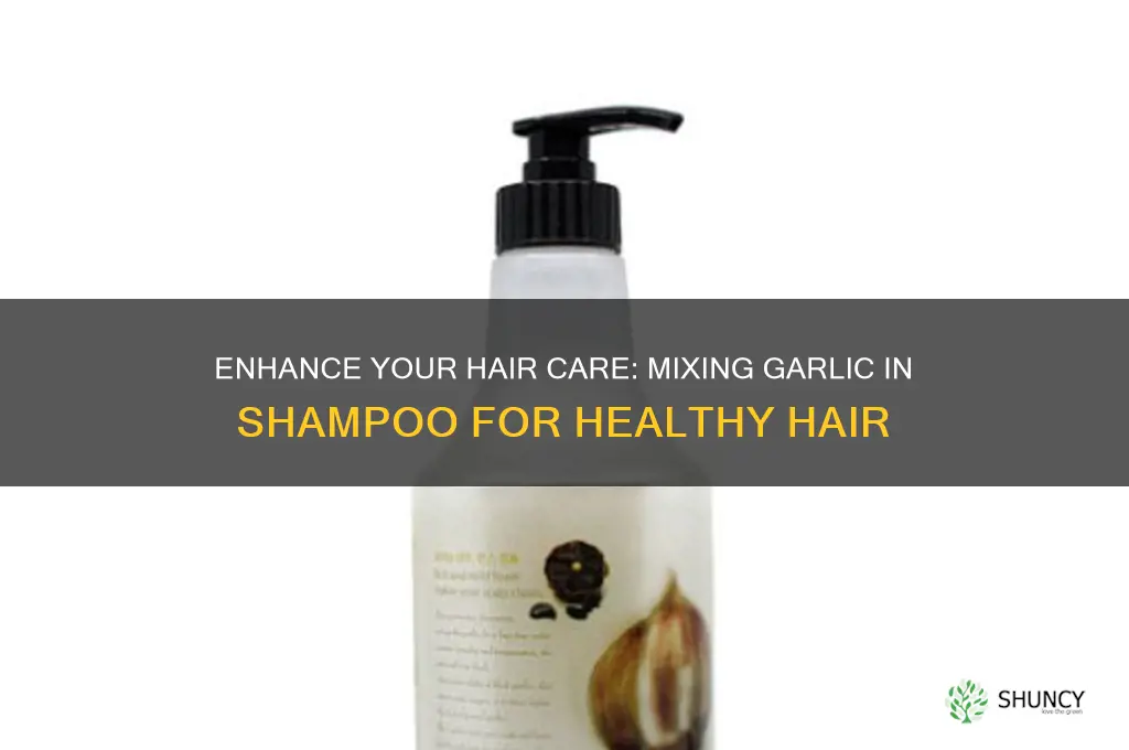Enhance Your Hair Care: Mixing Garlic In Shampoo For Healthy Hair | ShunCy