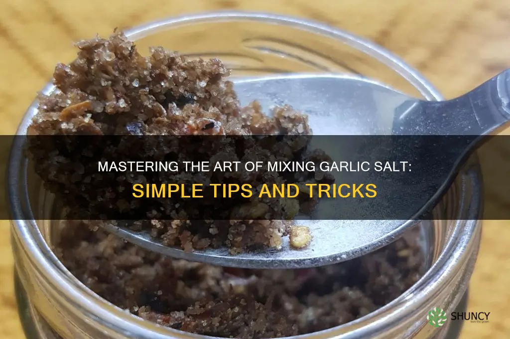 Mastering The Art Of Mixing Garlic Salt: Simple Tips And Tricks | ShunCy