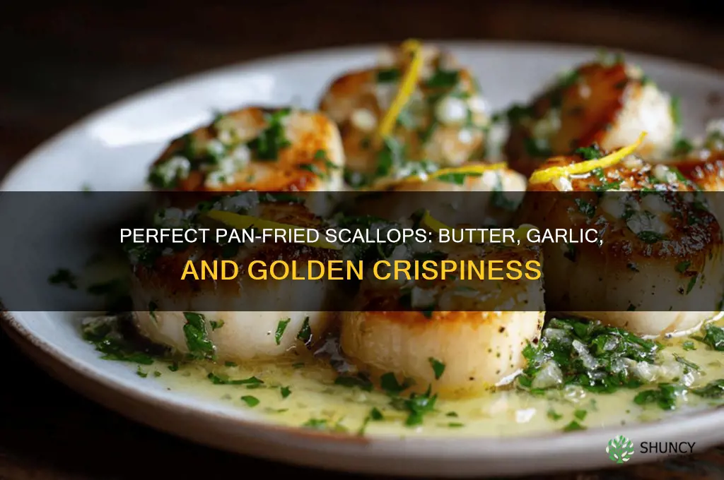 Perfect Pan-Fried Scallops: Butter, Garlic, And Golden Crispiness | ShunCy