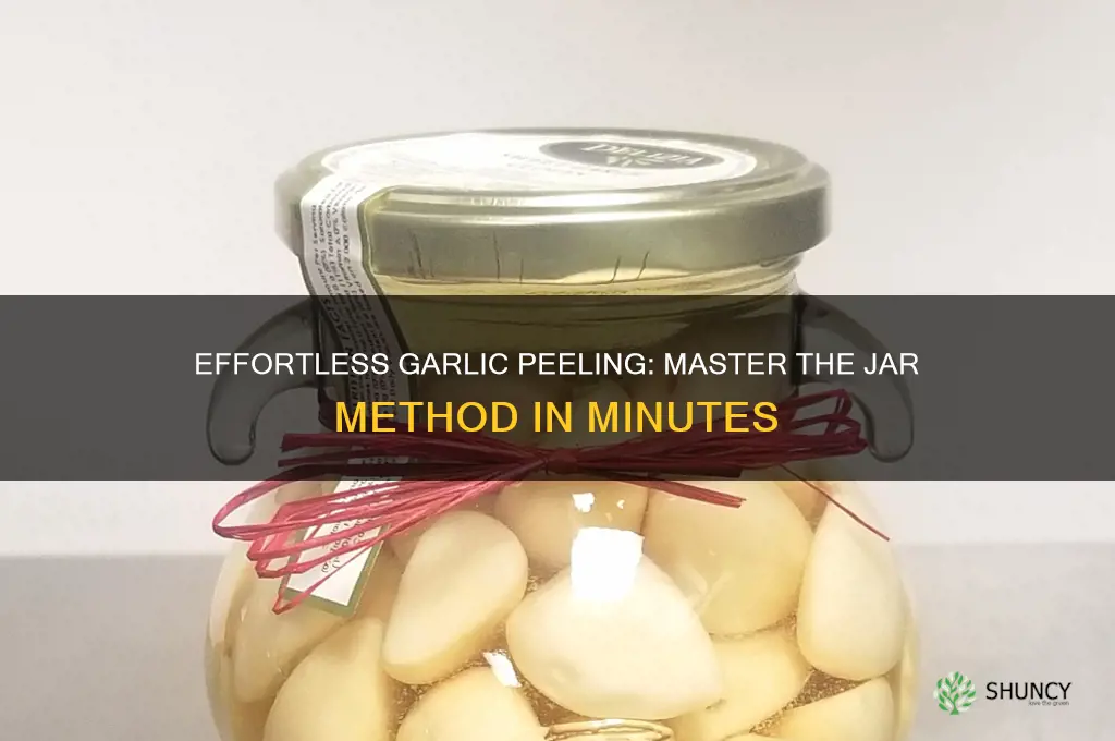 Effortless Garlic Peeling: Master The Jar Method In Minutes | ShunCy