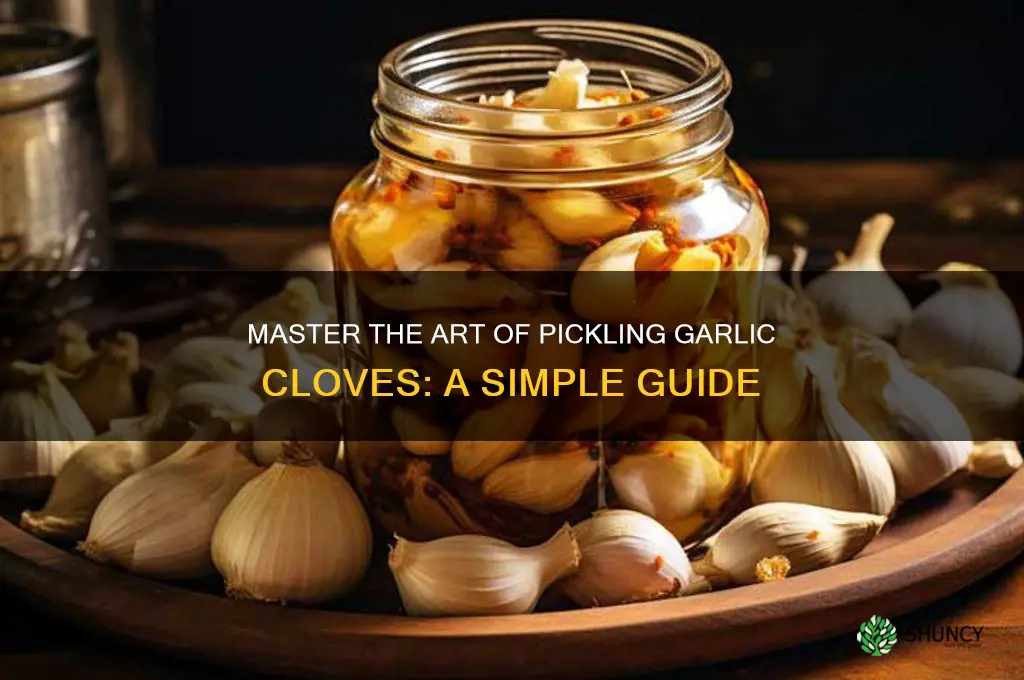 Master The Art Of Pickling Garlic Cloves: A Simple Guide | ShunCy