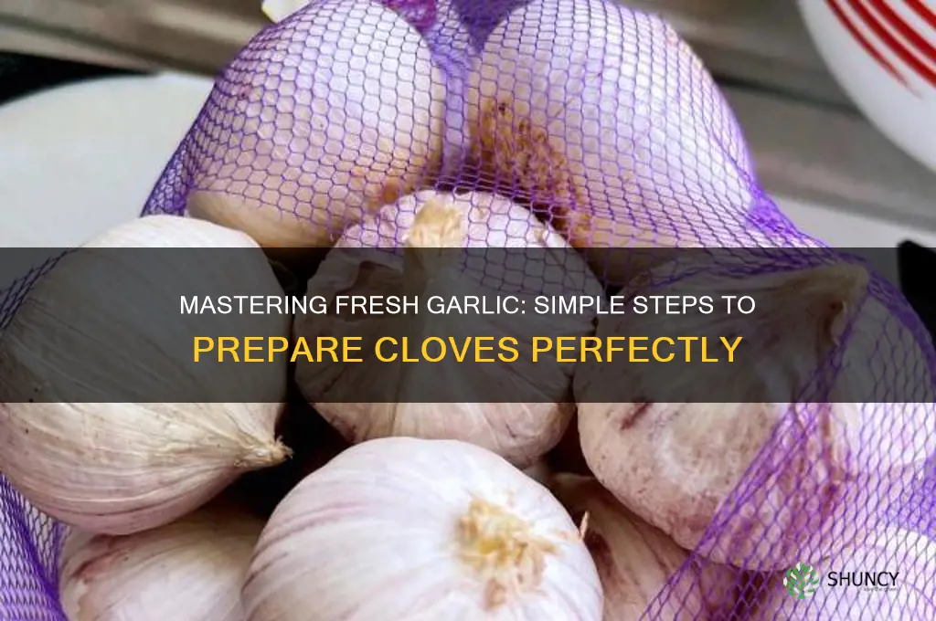 Mastering Fresh Garlic: Simple Steps To Prepare Cloves Perfectly | ShunCy