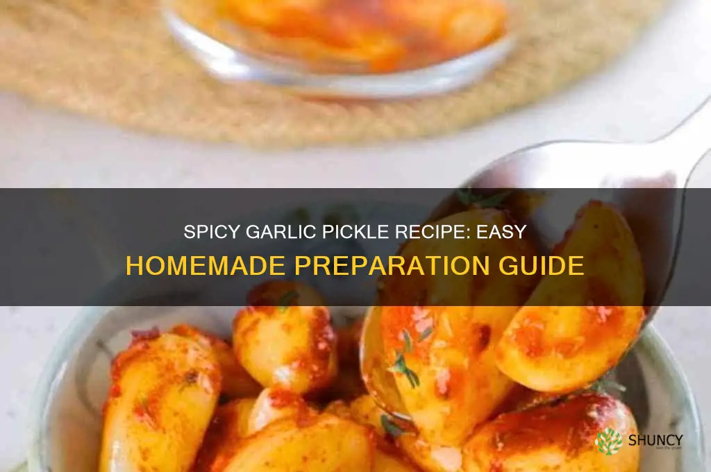 Spicy Garlic Pickle Recipe: Easy Homemade Preparation Guide | ShunCy