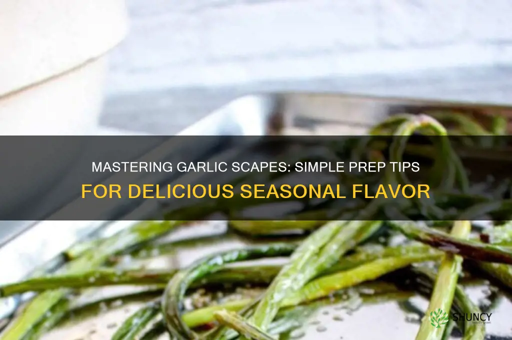 Mastering Garlic Scapes: Simple Prep Tips For Delicious Seasonal Flavor ...