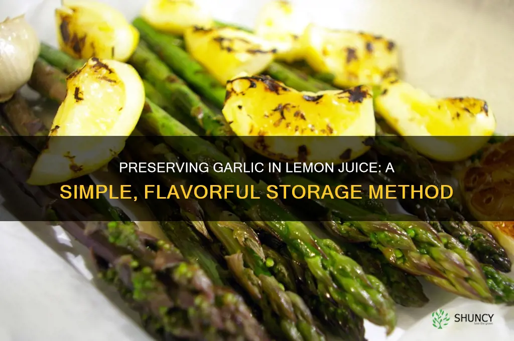 Preserving Garlic In Lemon Juice: A Simple, Flavorful Storage Method ...