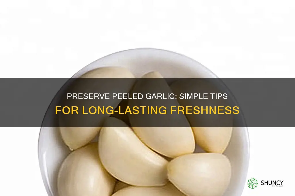 Preserve Peeled Garlic: Simple Tips For Long-Lasting Freshness | ShunCy