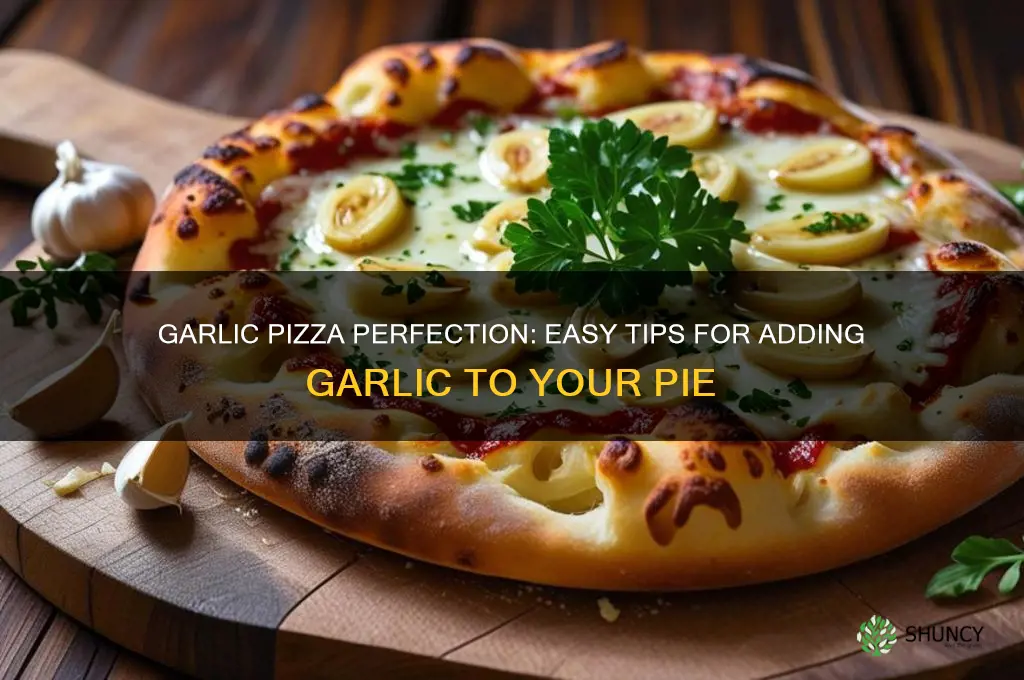 Garlic Pizza Perfection: Easy Tips For Adding Garlic To Your Pie | ShunCy