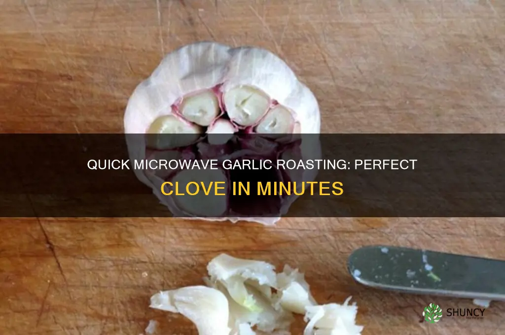 Quick Microwave Garlic Roasting: Perfect Clove In Minutes | ShunCy